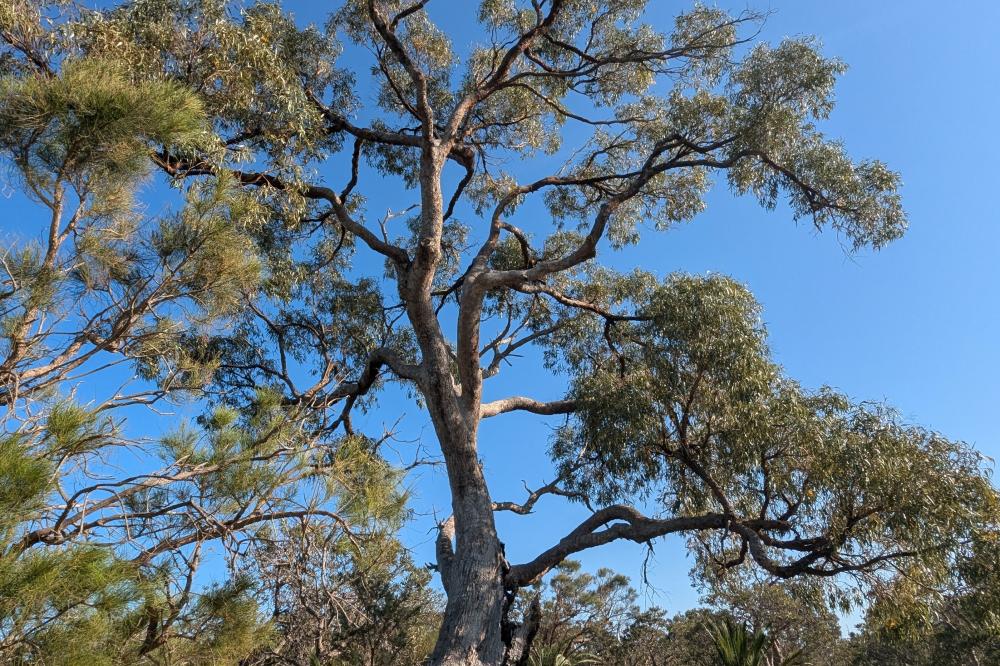 Ministry of Sound Classical | Kings Park