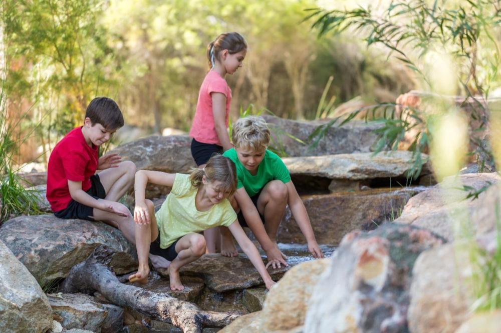 Friends of Kings Park Plant Sales | Kings Park
