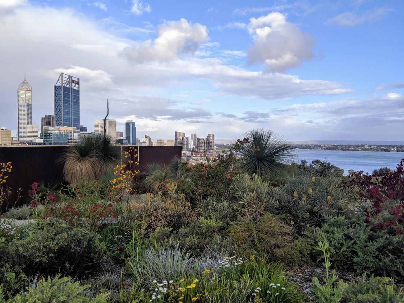 Kings Park - frequently asked questions | Kings Park