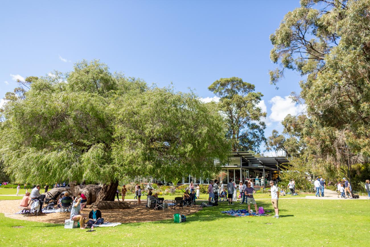 May Drive Parkland | Kings Park