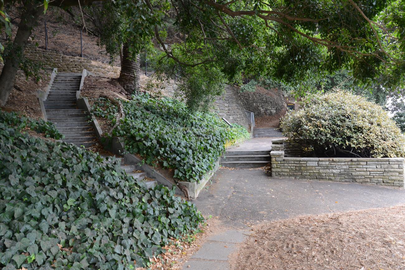 Kokoda Track | Kings Park