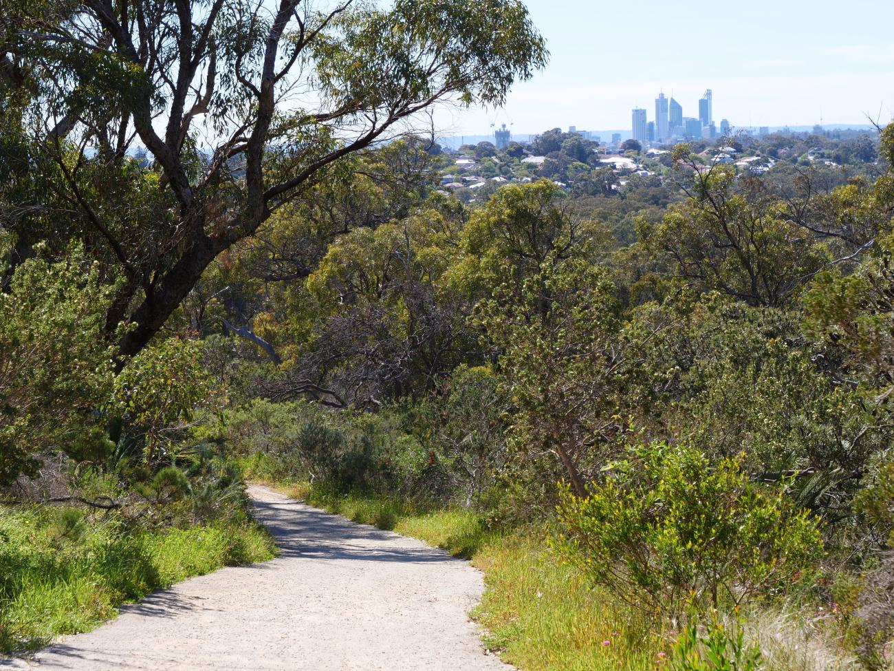 Bold Park Trails | Kings Park