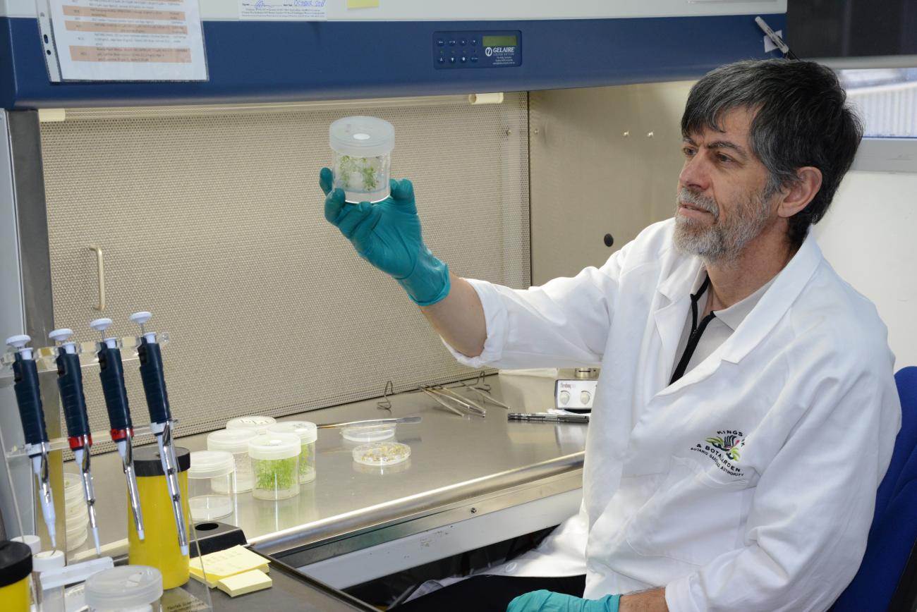 Dr Scalzo awarded Medal of the Order of Australia | Kings Park