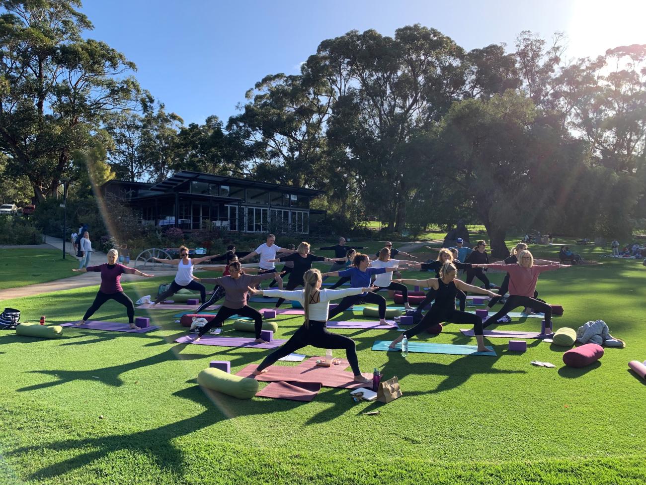 Yoga + Blossom | Kings Park