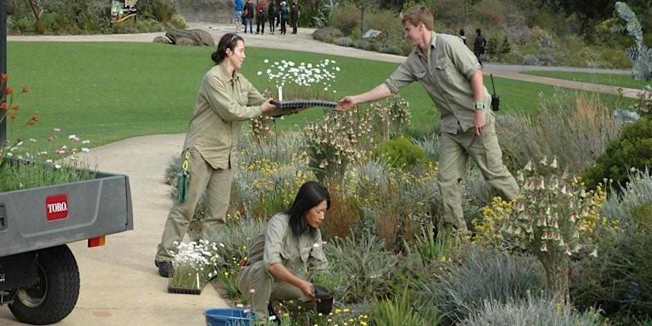 Greening Your Thumb: Native Gardens for Beginners | Kings Park