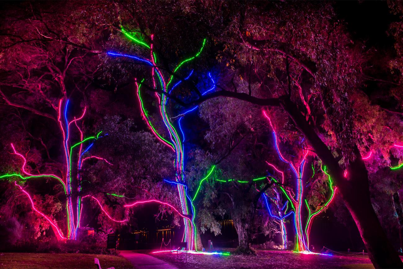 Expressions of Interest for Lightscape 2025 now open for local artists ...