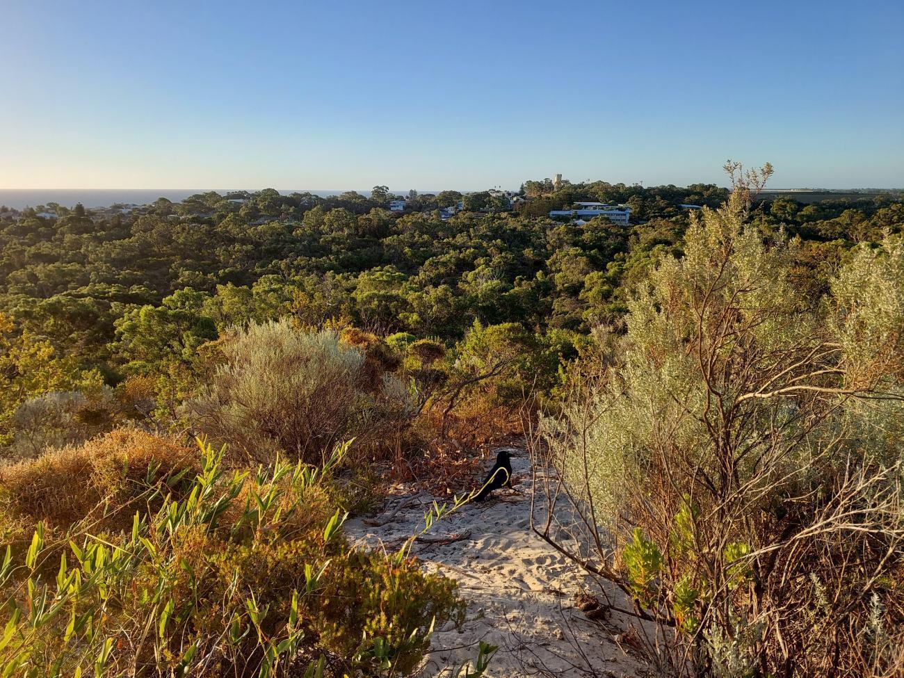Trails of Bold Park | Kings Park