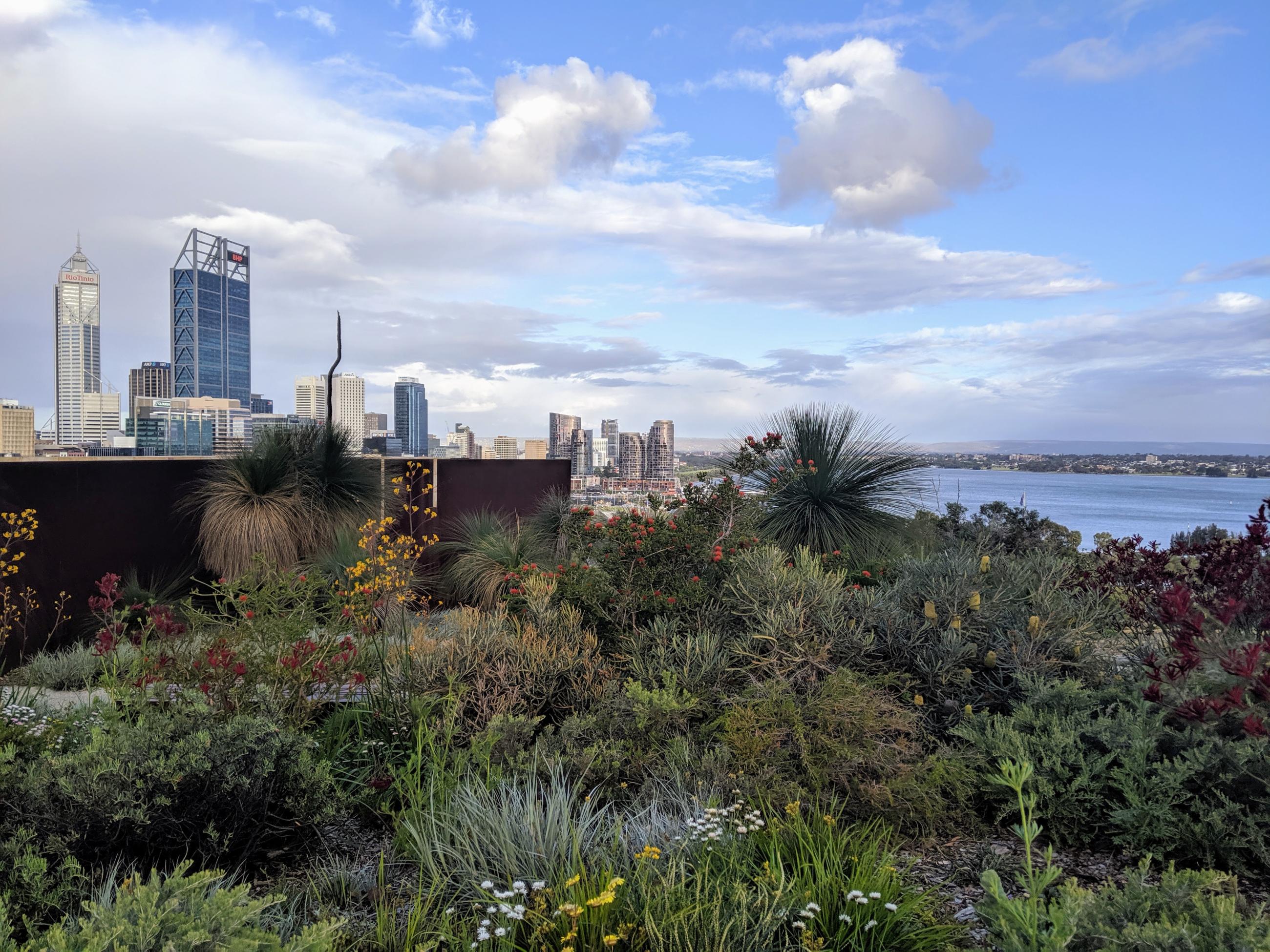 Kings Park - frequently asked questions | Kings Park