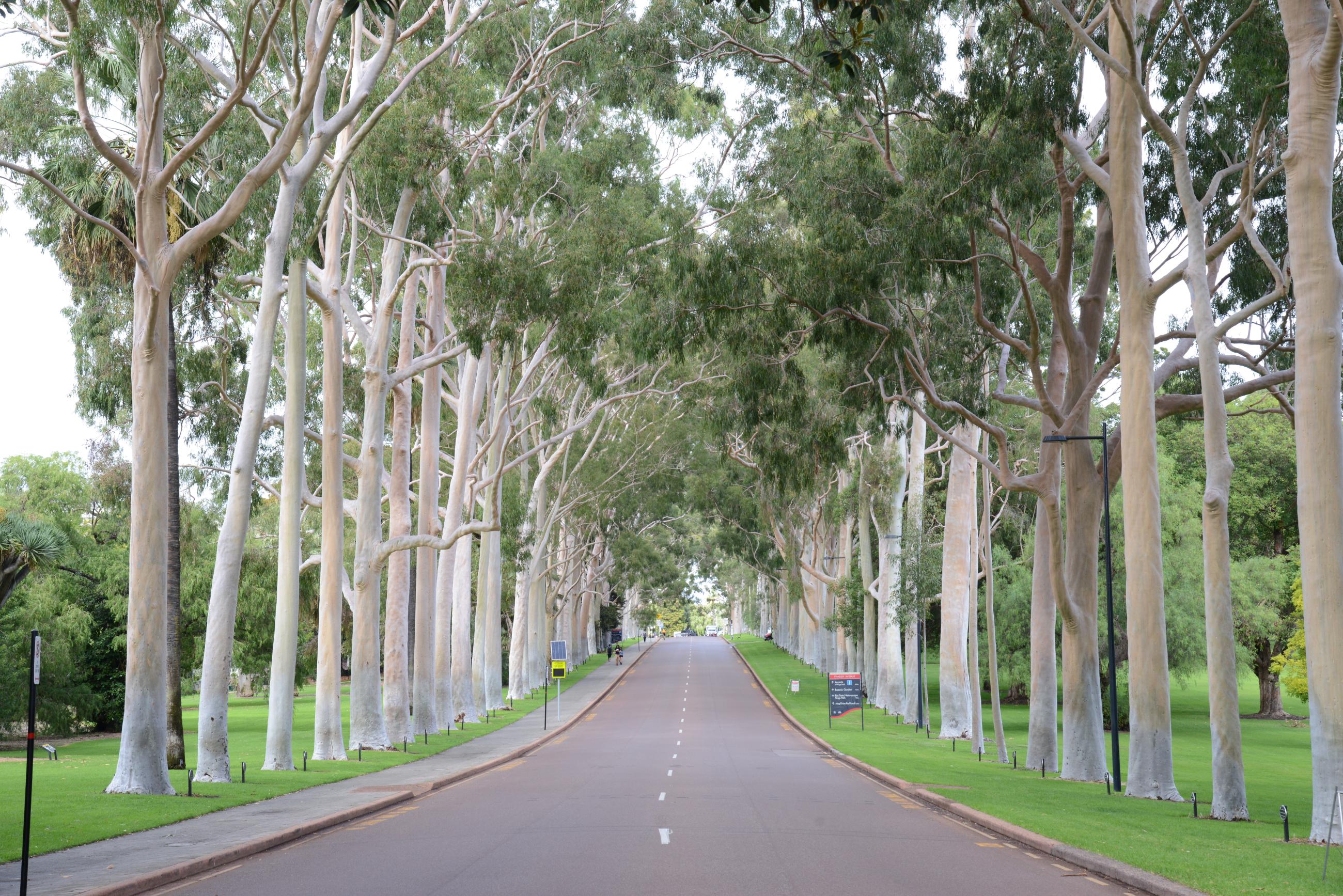 Transport | Kings Park