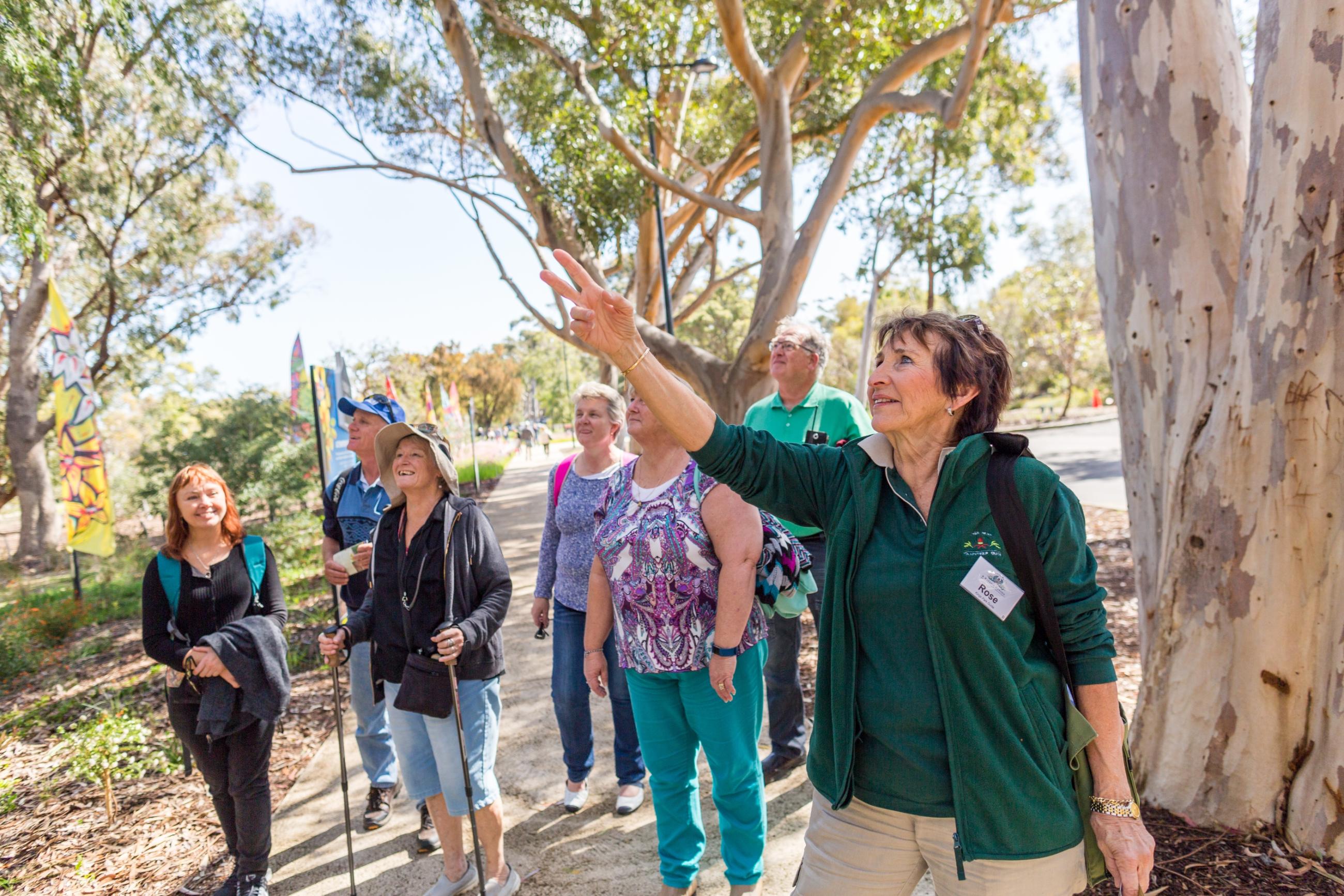 Discover Kings Park | Kings Park
