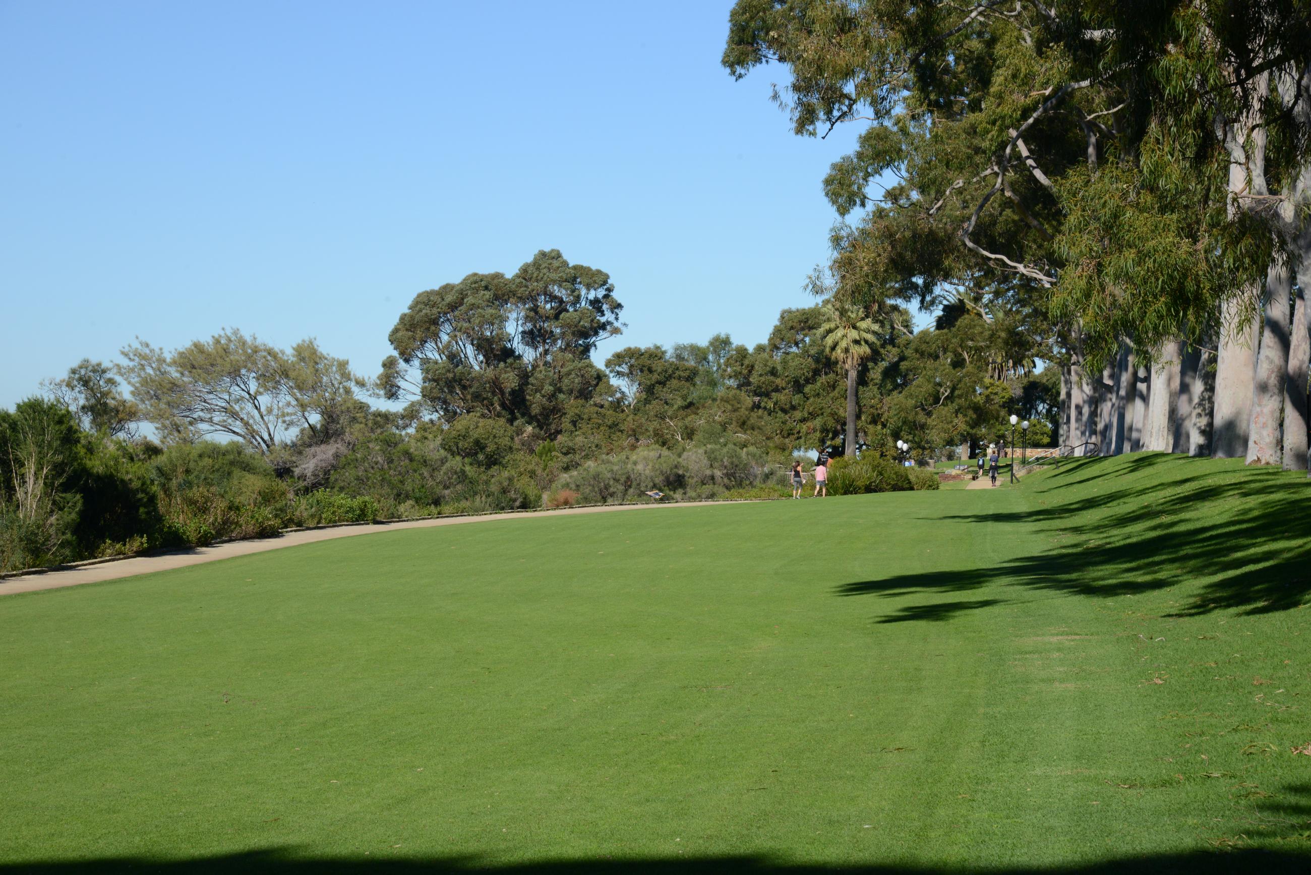 Rifle Range Lawn North | Kings Park