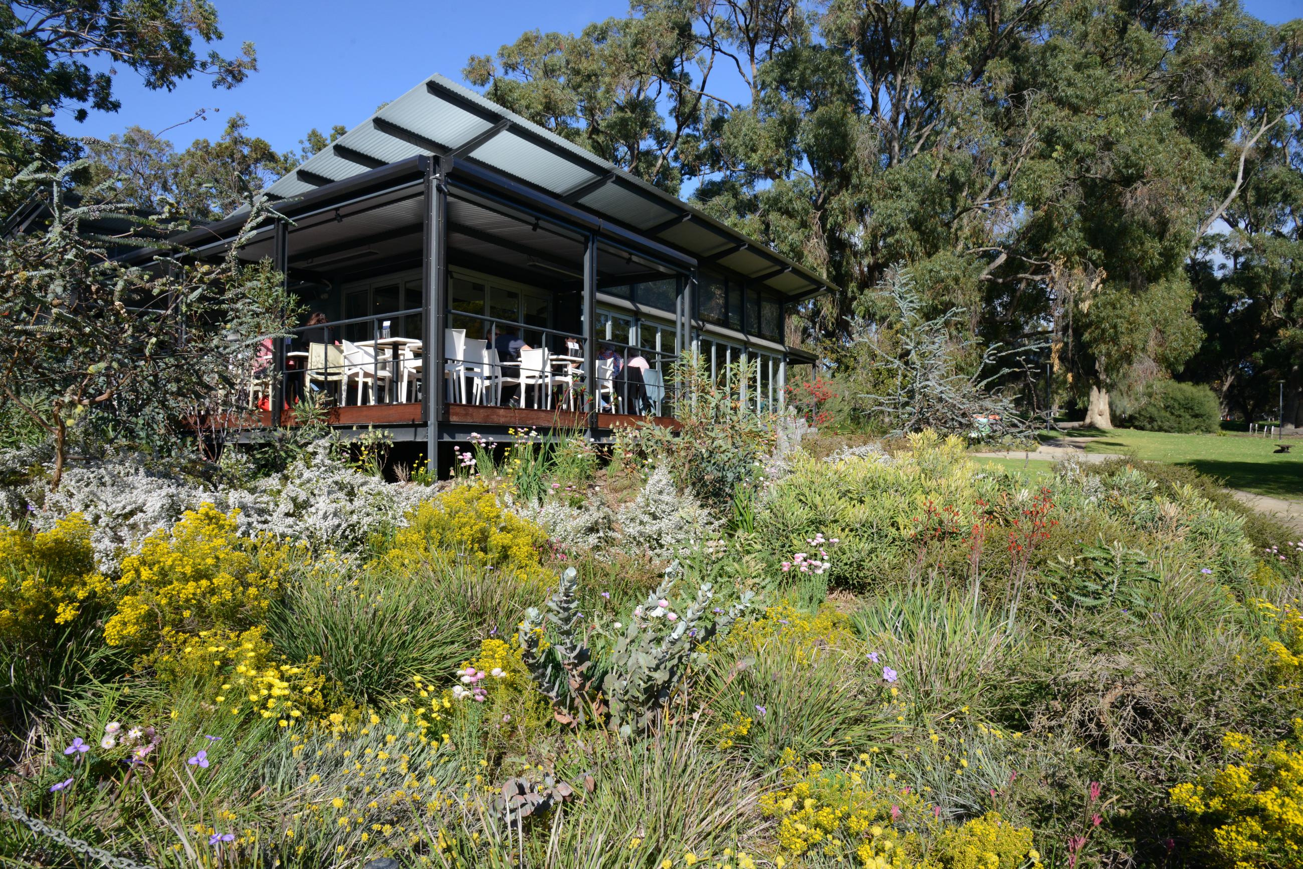 Backyard Botanicals Garden | Kings Park
