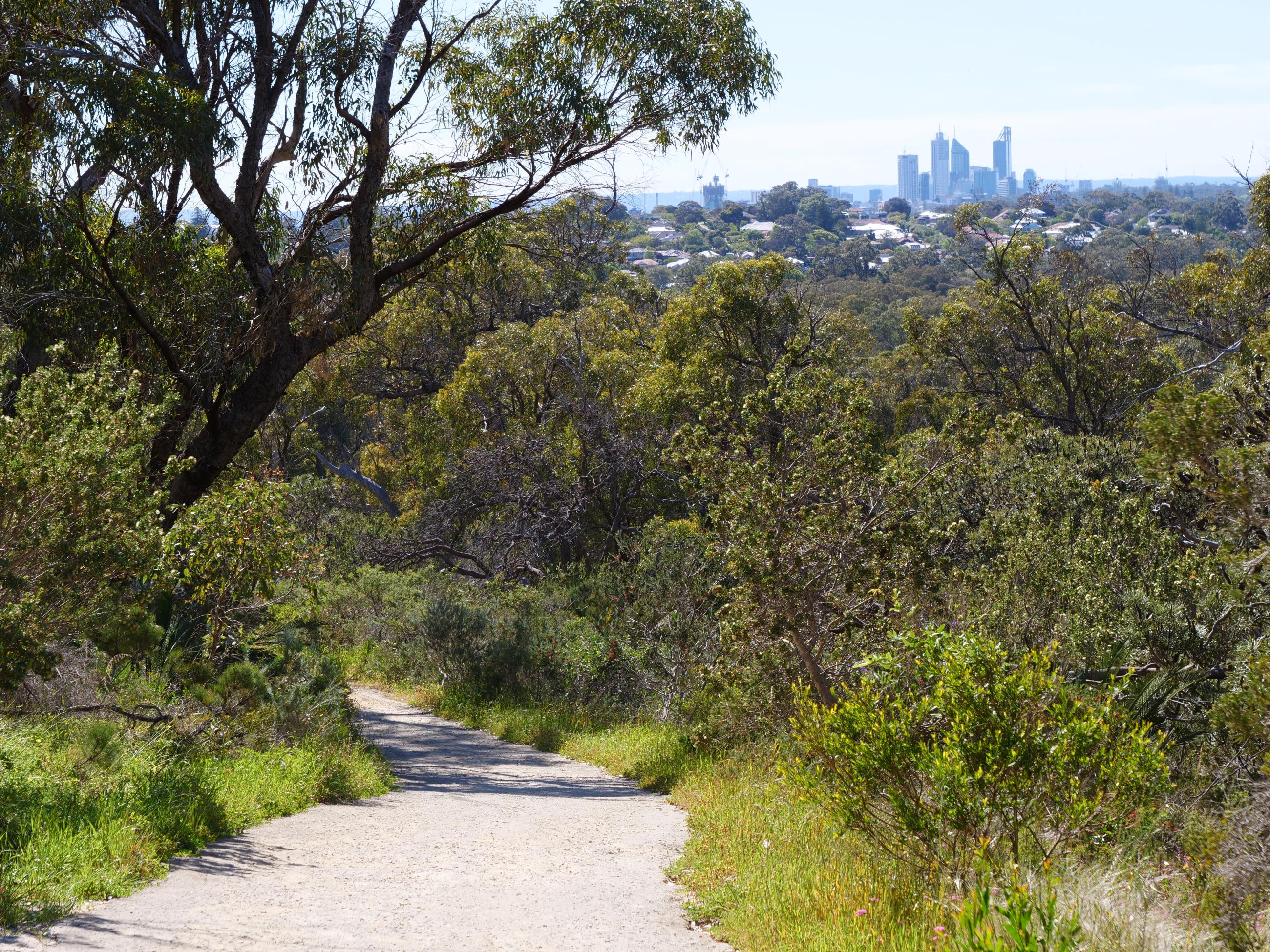 Bold Park Trails | Kings Park