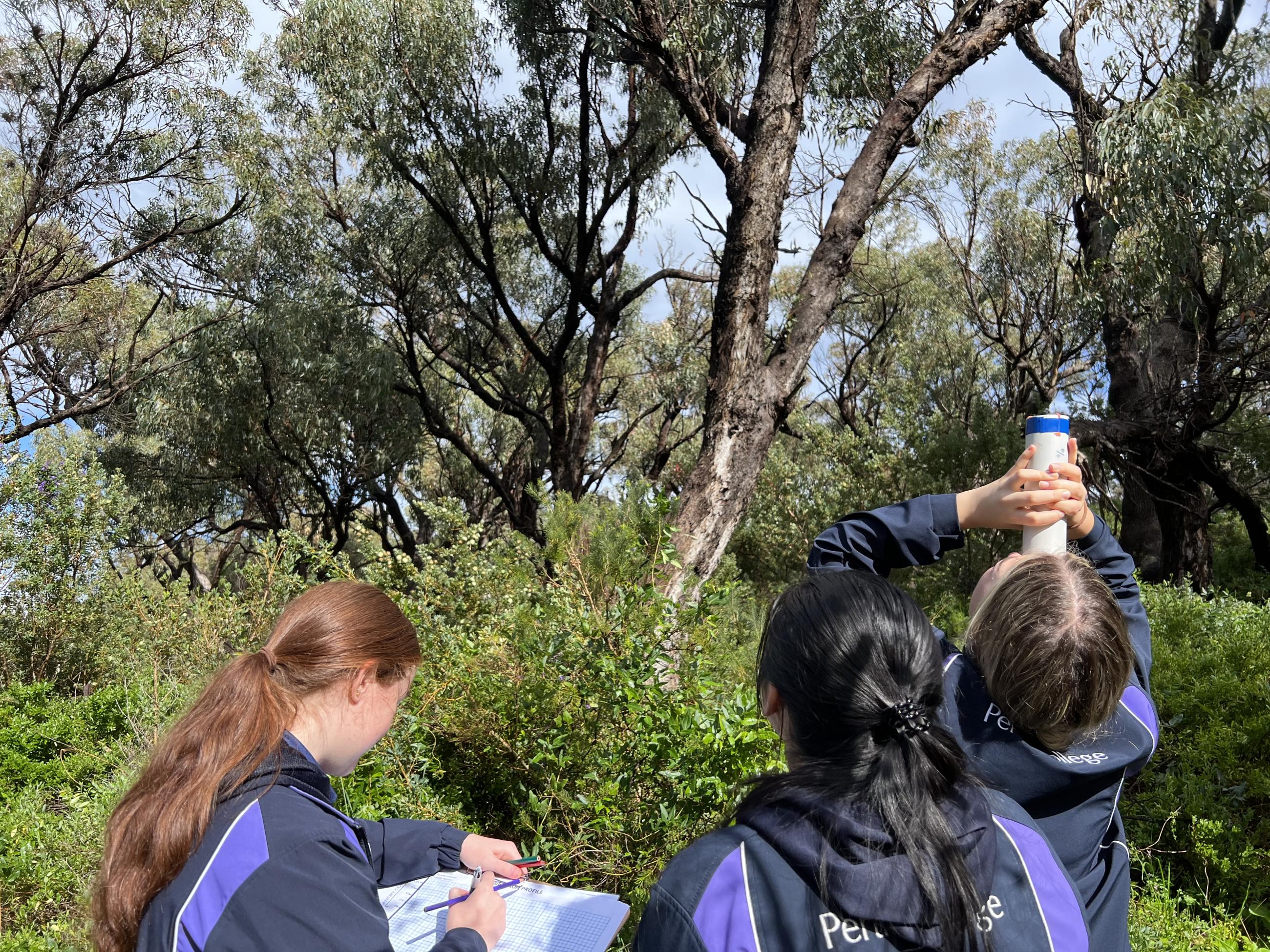 Land Cover Change and Biodiversity Loss | Kings Park