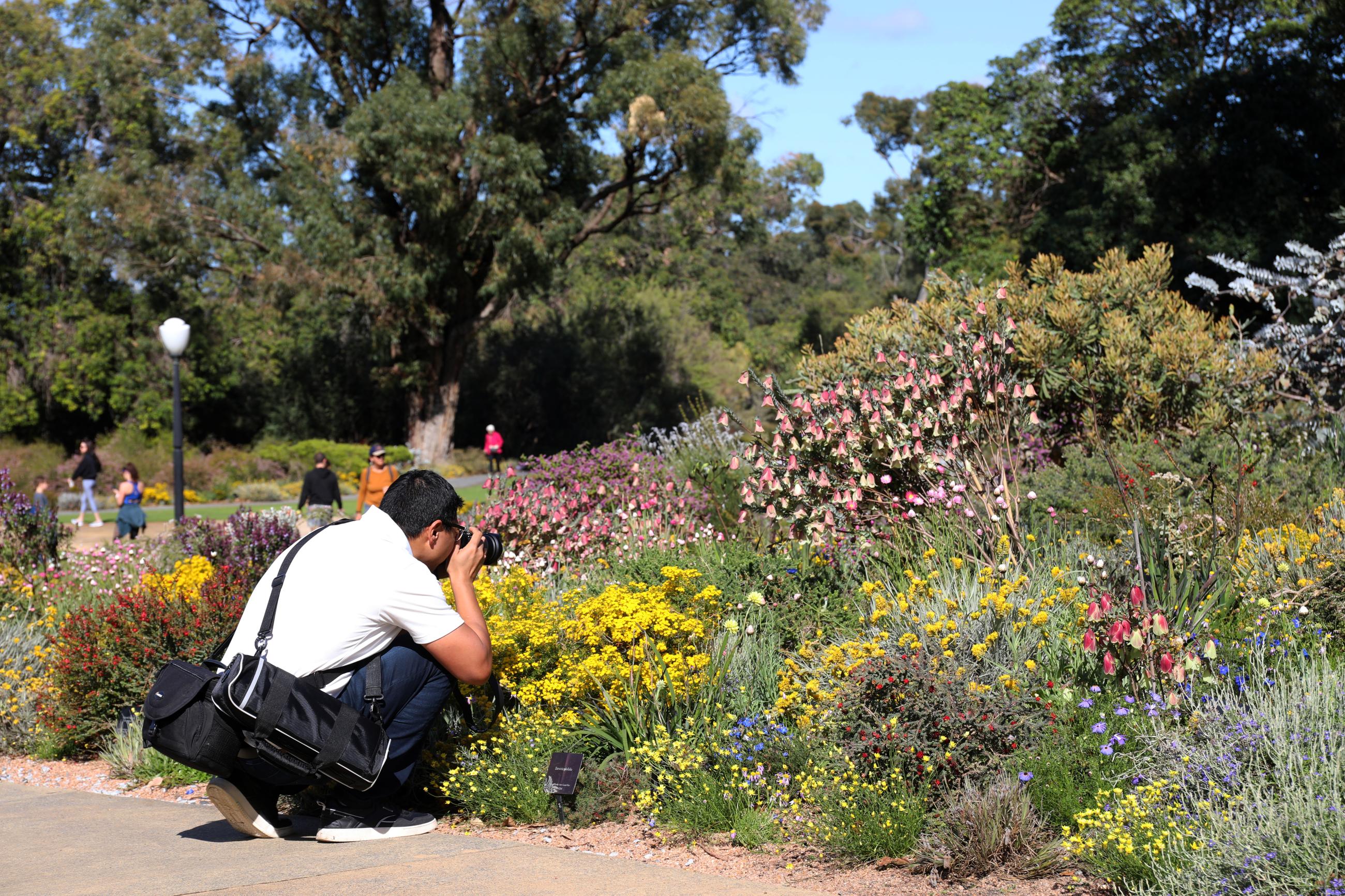Filming, photography and media | Kings Park