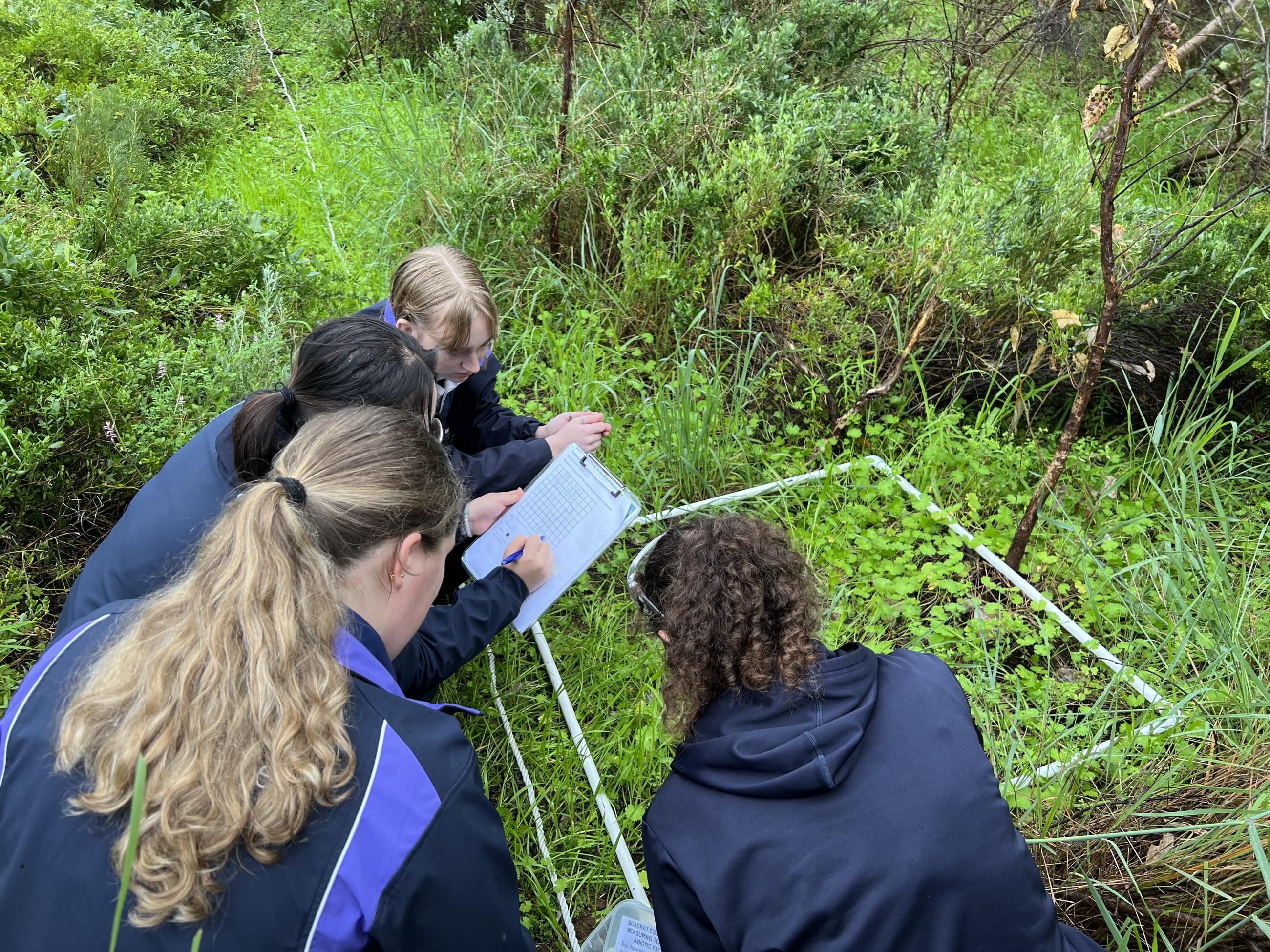 Ecological Field Studies | Kings Park