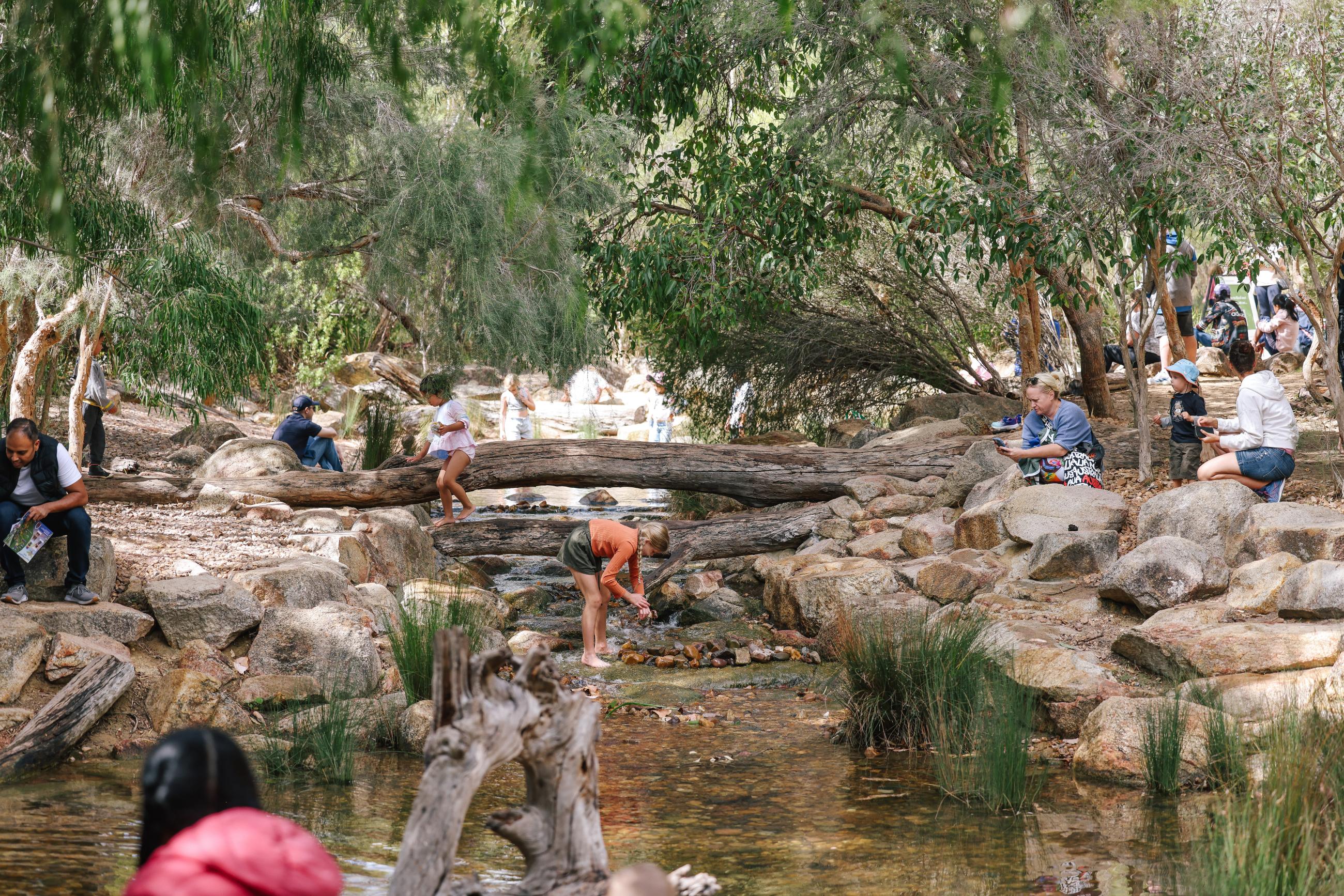 $4.3 million boost for Kings Park nature play and education | Kings Park