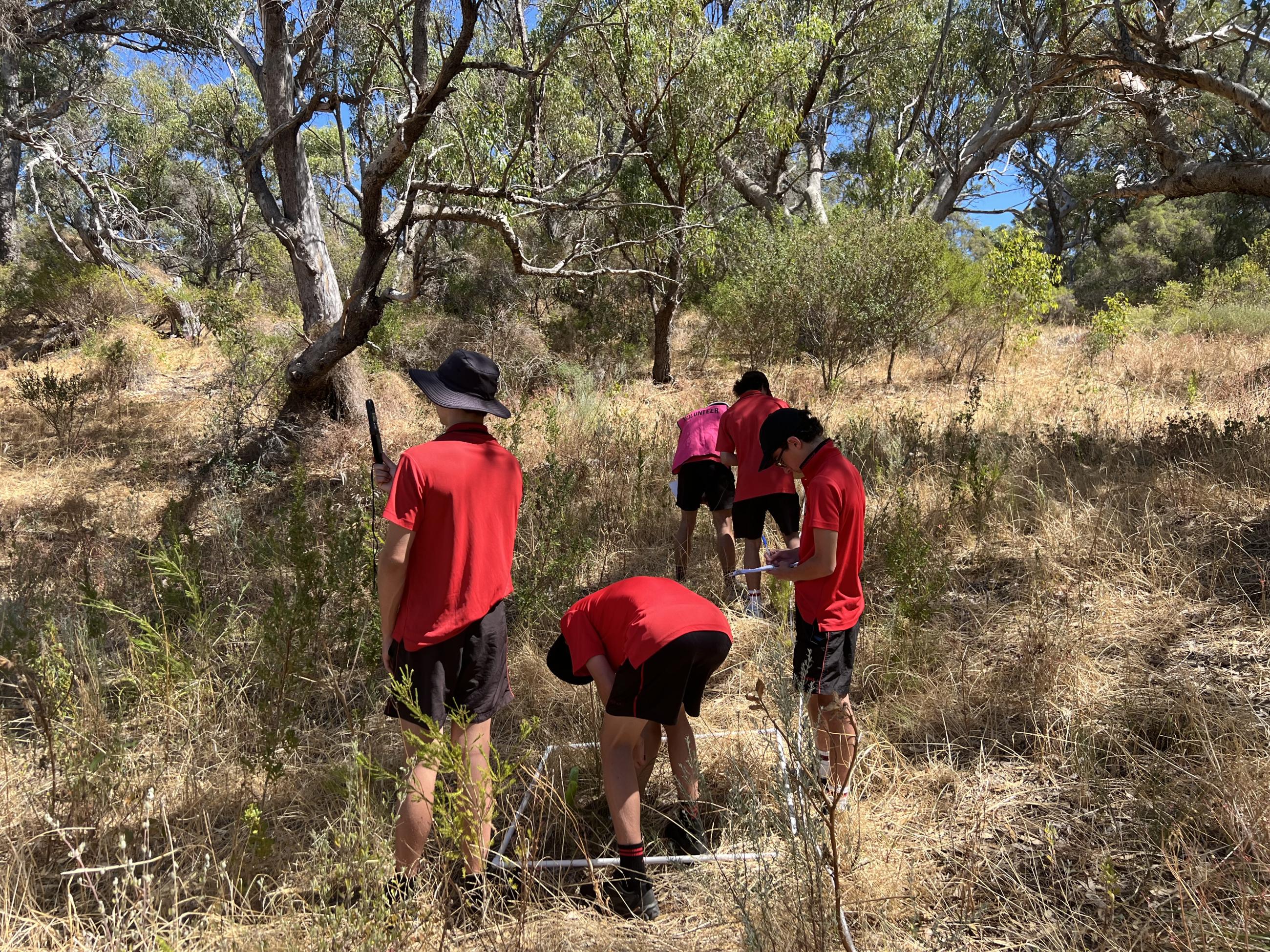 Urban Biodiversity and Fire Management | Kings Park