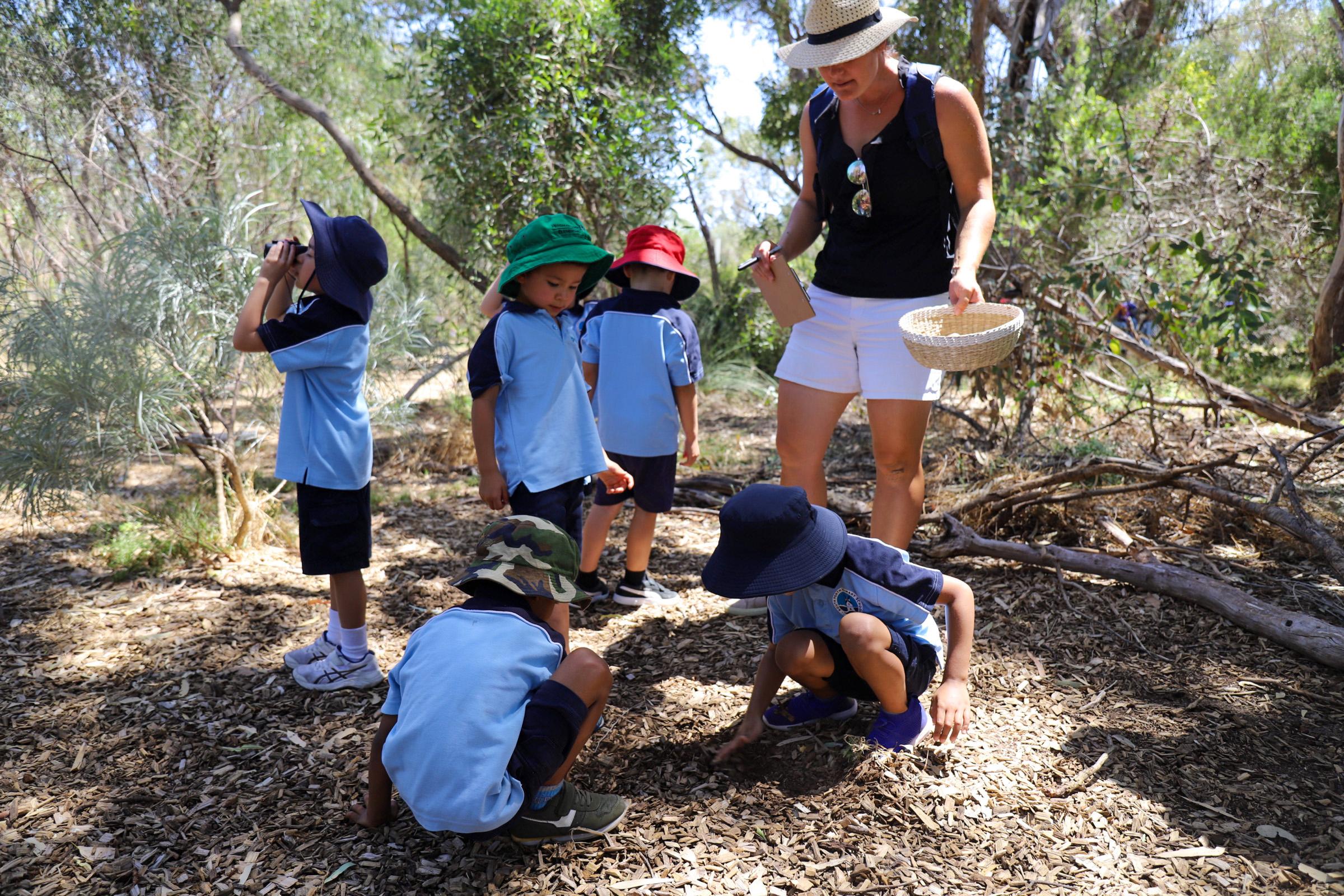 Tuart Treehouse | Kings Park