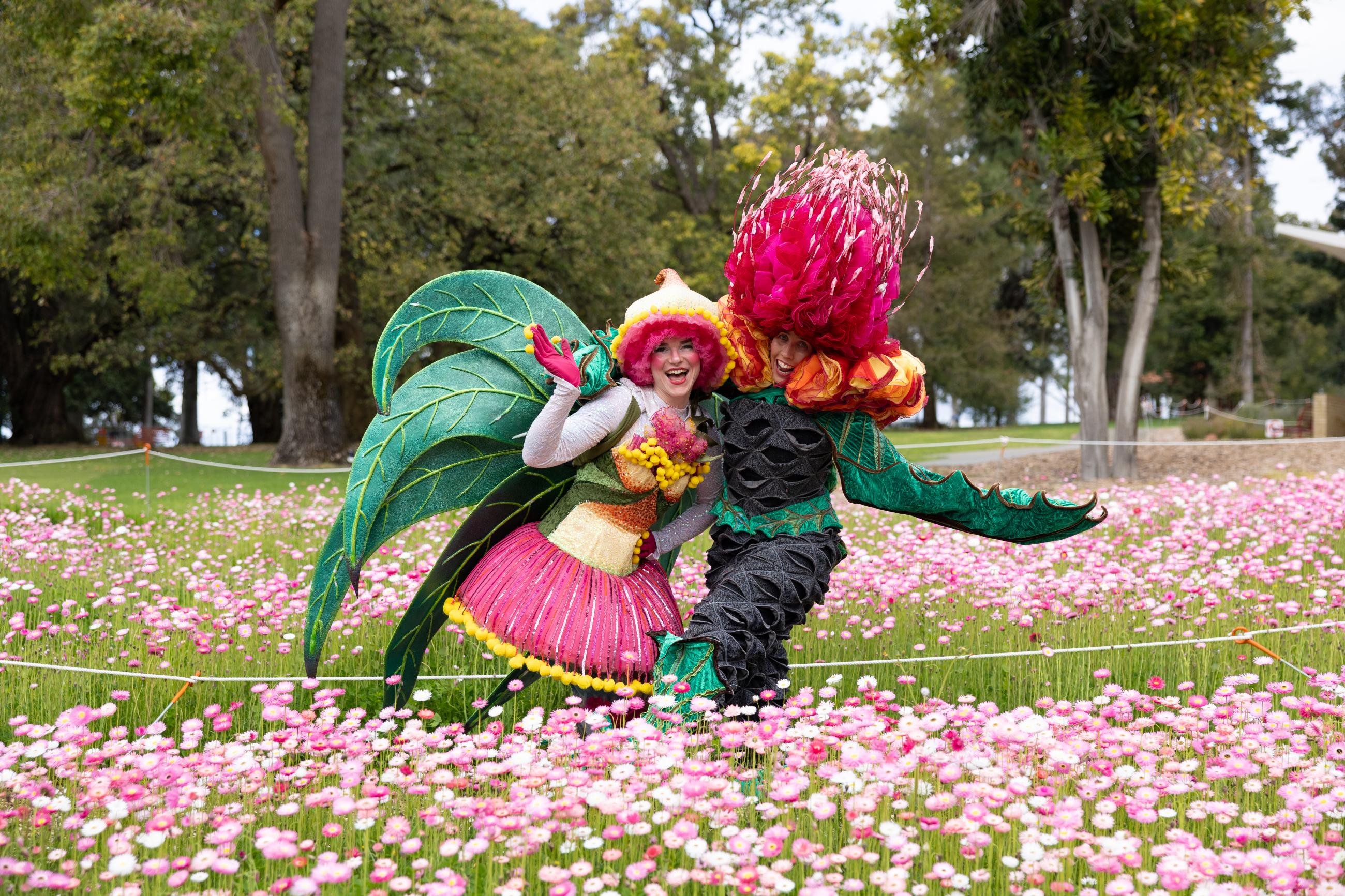WA's biggest wildflower event marks special 2025 milestone | Kings Park