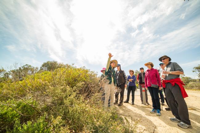 Bold Park guided walks | Kings Park