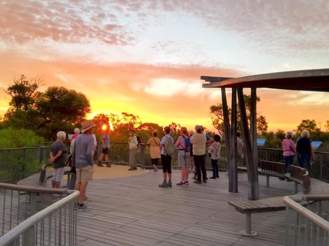 Summer sunset walks (Bold Park) | Kings Park